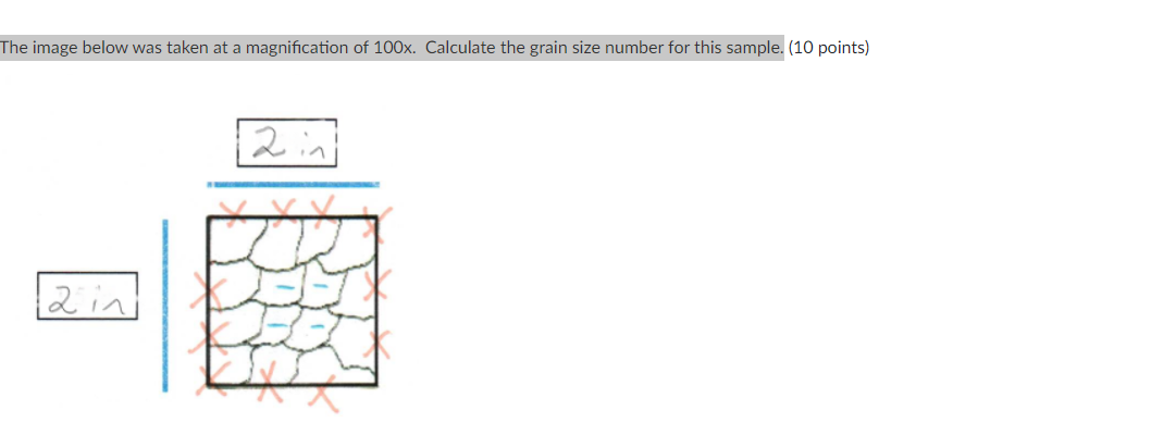 Solved The image below was taken at a magnification of 100x. | Chegg.com