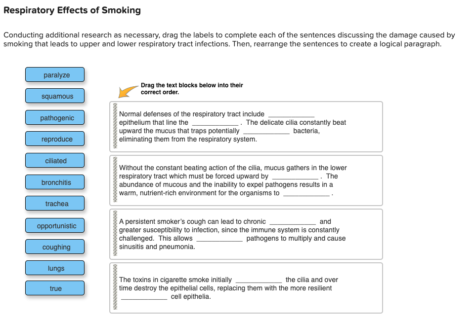 Solved Respiratory Effects of Smoking Conducting additional | Chegg.com