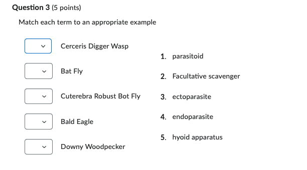 Solved Match each term to an appropriate example | Chegg.com