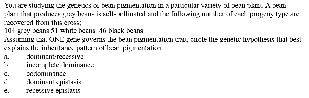 Solved You are studying the genetics of bean pigmentation in | Chegg.com