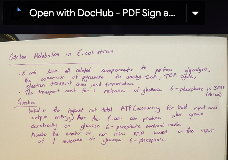 Solved Open with DocHub - PDF Sign a... Carbon Metabolism in | Chegg.com