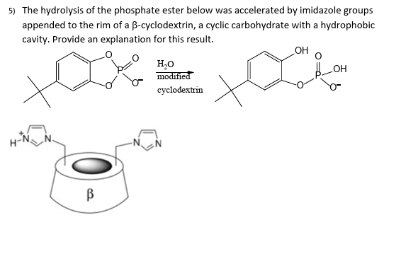Cyclic Ester Hydrolysis