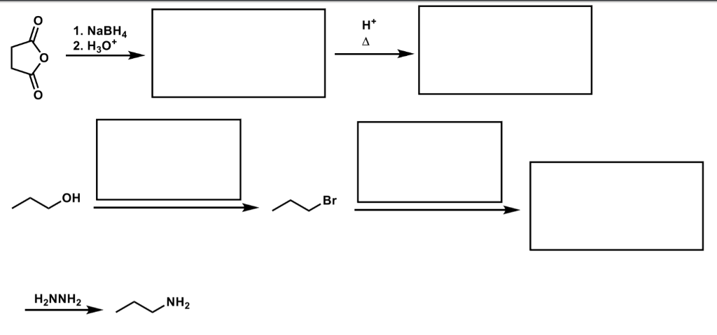 Solved нґ 1. NaBH4 2. H3o он Br NH2 | Chegg.com