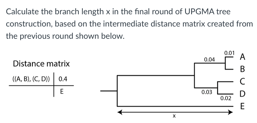 Solved Calculate the branch length x in the final round of | Chegg.com