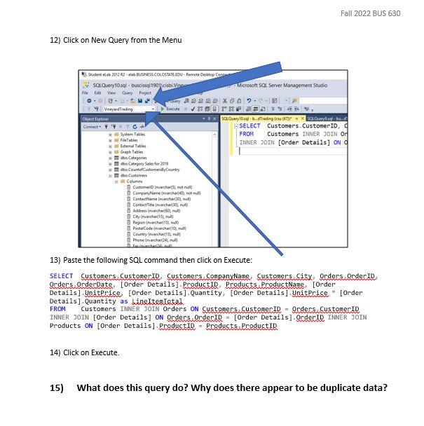 12) Click on New Query from the Menu 13) Paste the | Chegg.com