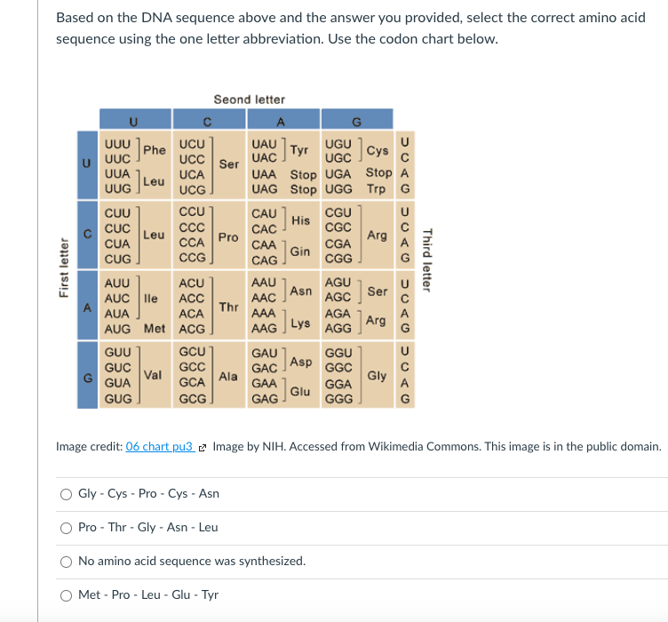Solved Provide the complementary mRNA sequence based on the | Chegg.com