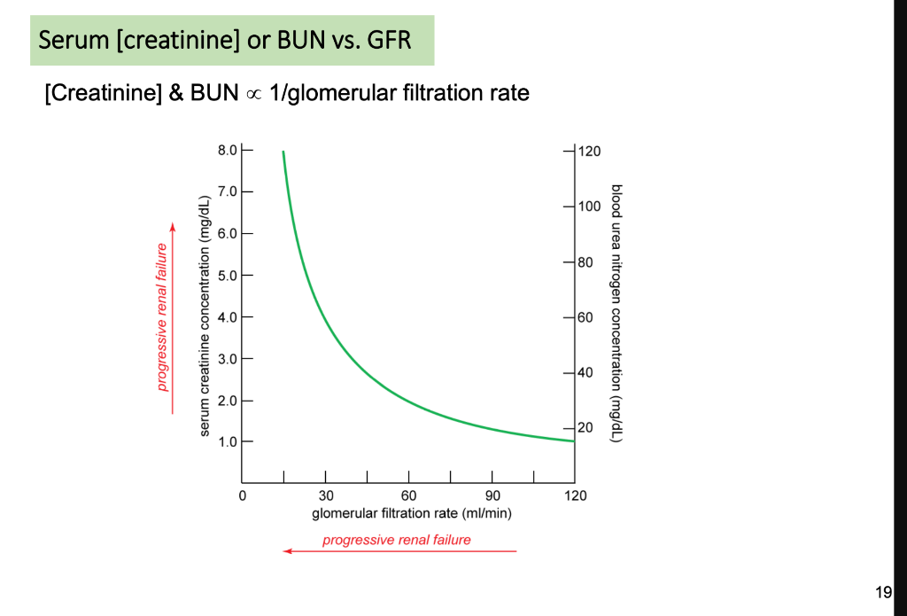 Solved Can u please explain whats going on with this graph. | Chegg.com