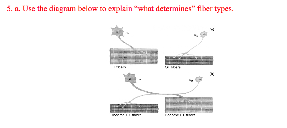 Solved 5. a. Use the diagram below to explain "what | Chegg.com