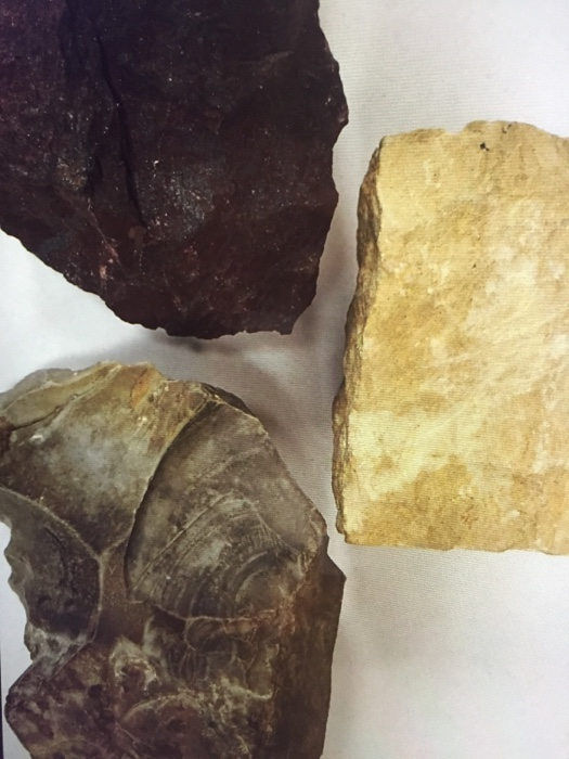 Solved Examine the samples of clastic (A), chemical | Chegg.com