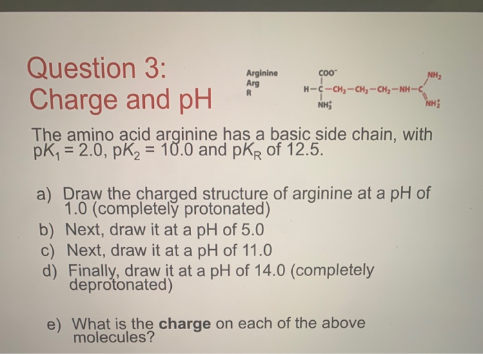 Solved Question 3: Arginine Arg coo NH2 H-C-CH2 CH2-CH2-NH-C | Chegg.com