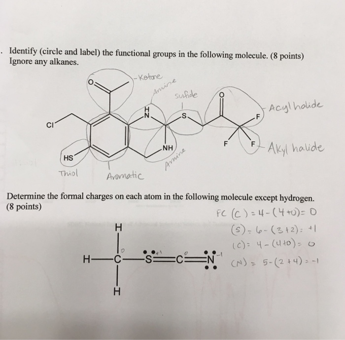 Solved Identify (circle and label) the functional groups in | Chegg.com