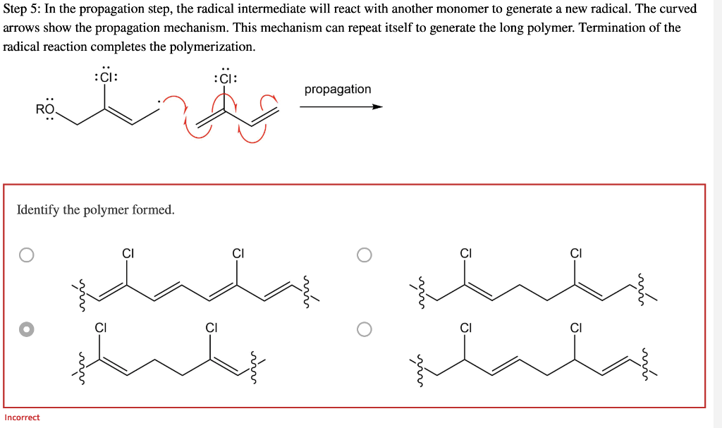 Solved Step 5: In the propagation step, the radical | Chegg.com