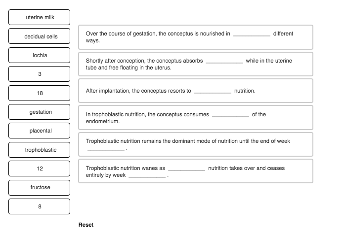 Solved In order to complete each sentence, click and drag | Chegg.com