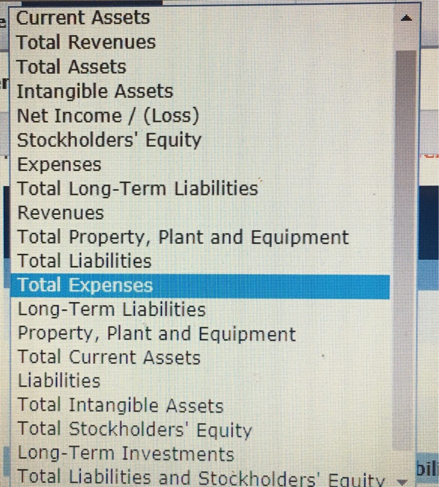 Solved Current Assets Total Revenues Total Assets | Chegg.com