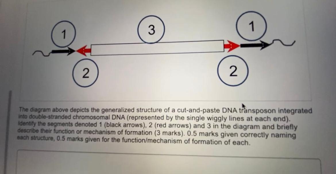 Solved 1 3 1 2 2 The diagram above depicts the generalized | Chegg.com