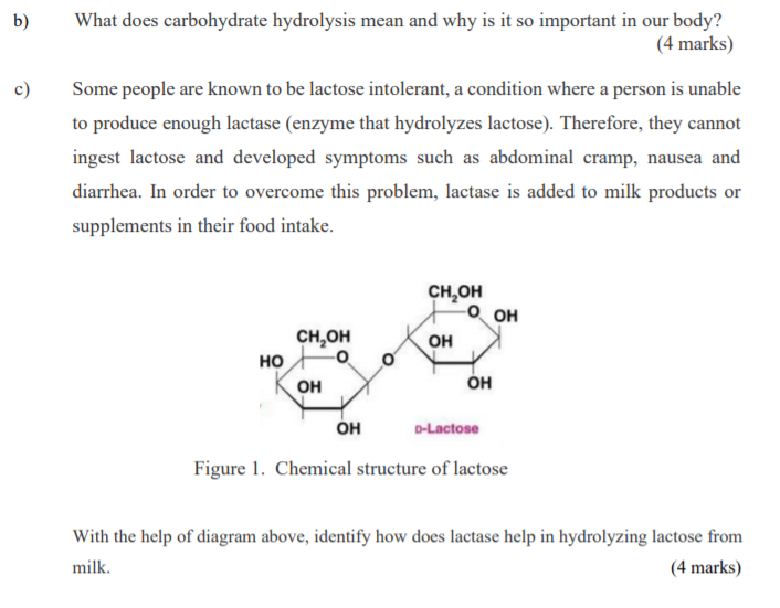 Solved b) What does carbohydrate hydrolysis mean and why is | Chegg.com