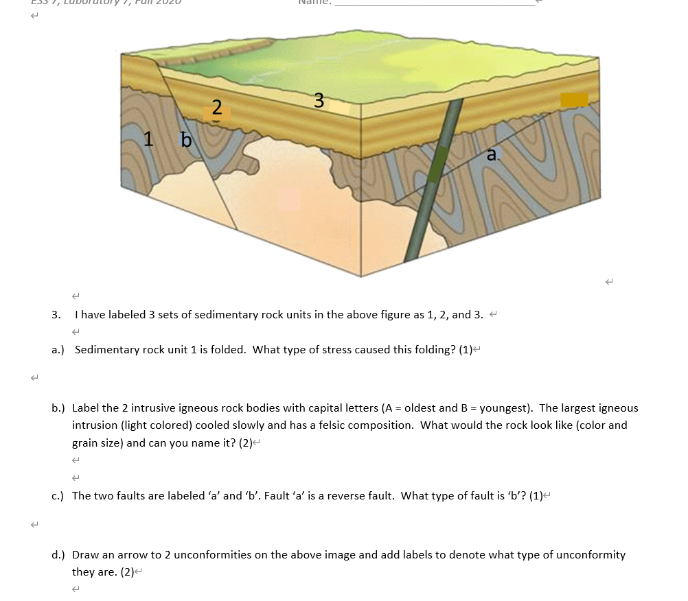 Solved 2 1 b 3. I have labeled 3 sets of sedimentary rock | Chegg.com