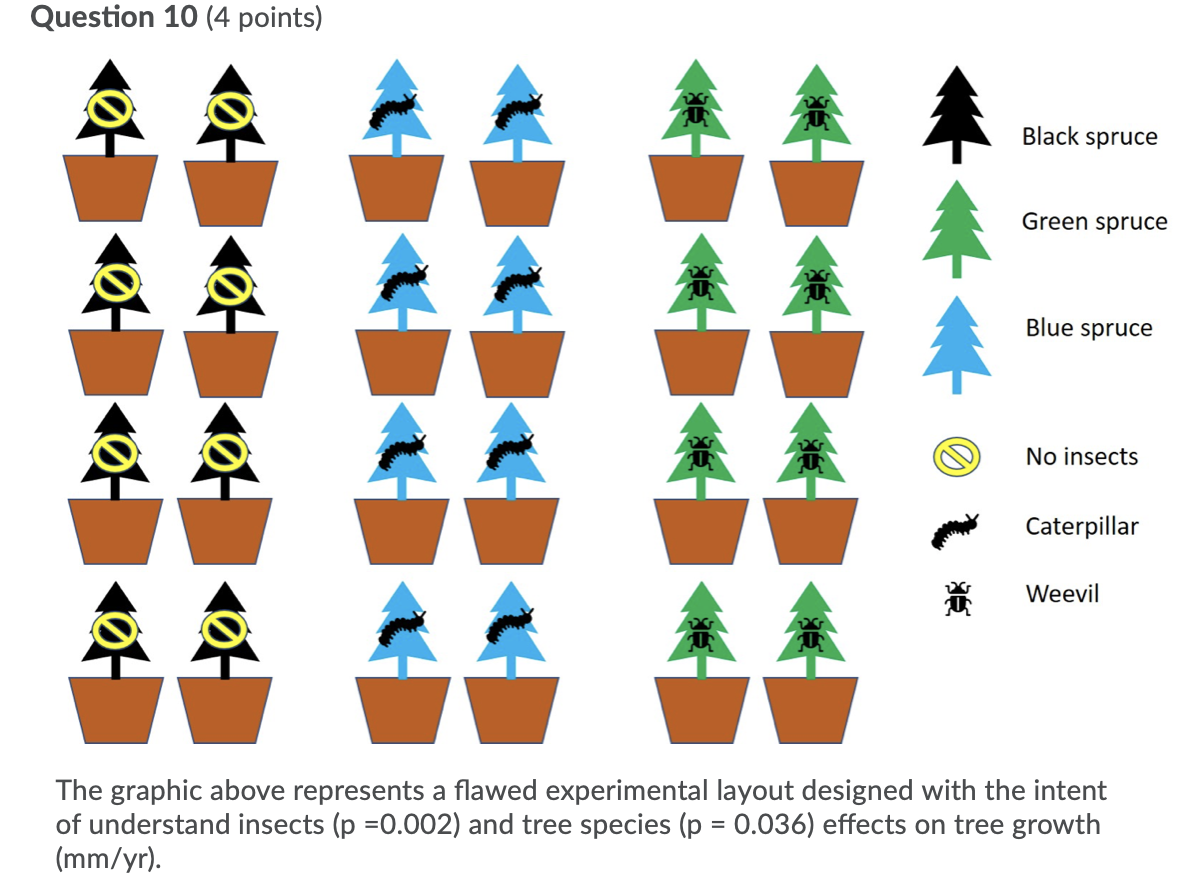 Solved 10 Based the graphic above, which of the following is | Chegg.com