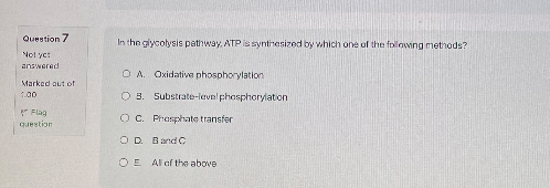 Solved In the giycolysis pethway, ATP is synthesized by | Chegg.com