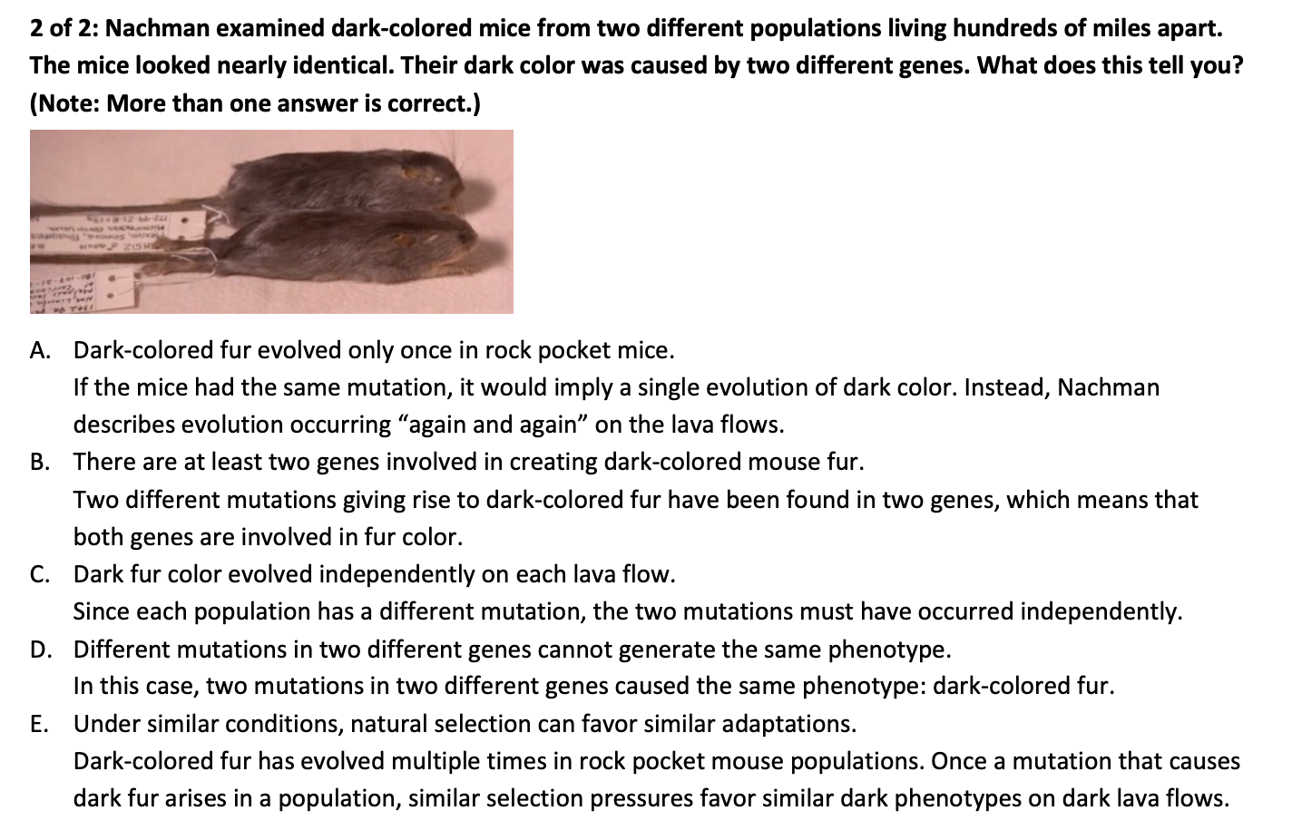 Solved 2 of 2: Nachman examined dark-colored mice from two | Chegg.com