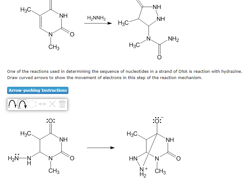 Solved -ΝΗ H3C NH H2NNH2 NH H3C N N. NH2 CH3 H3C One of the | Chegg.com