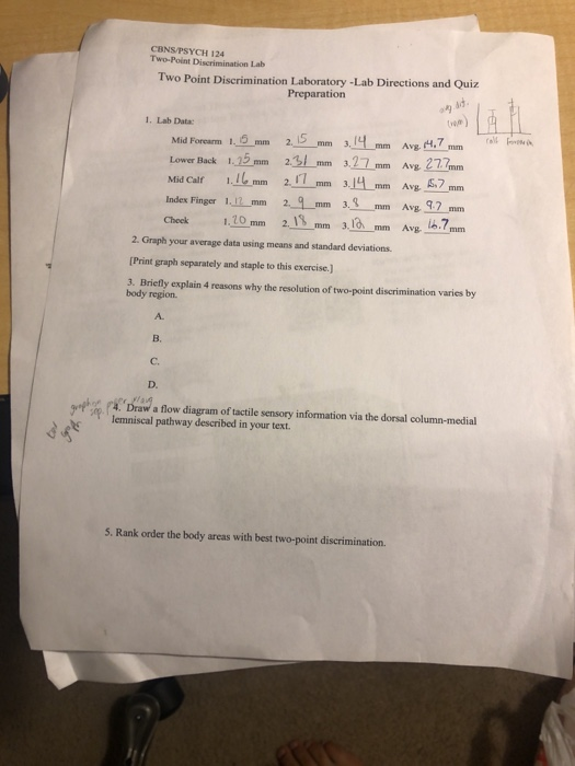 Solved CBNS/PSYCH 124 Two-Point Discrimination Lab Two Point | Chegg.com