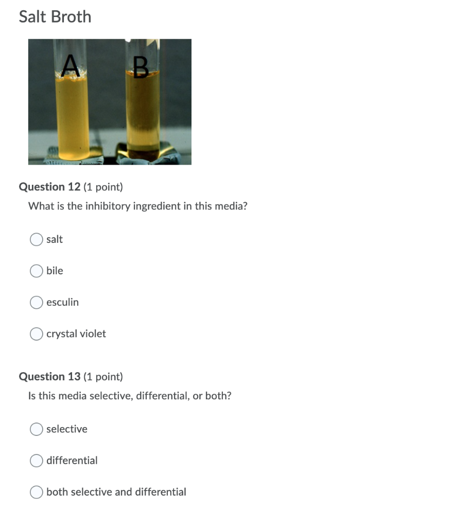 Solved Salt Broth A Question 12 (1 point) What is the | Chegg.com