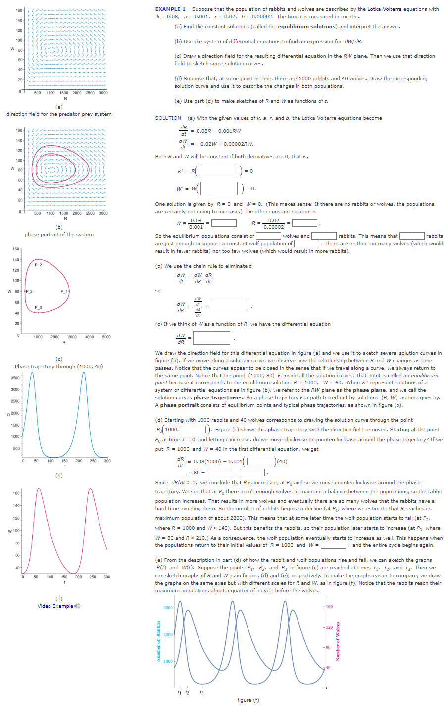 Solved EXAMPLE 1 Suppose that the population of rabbits and | Chegg.com