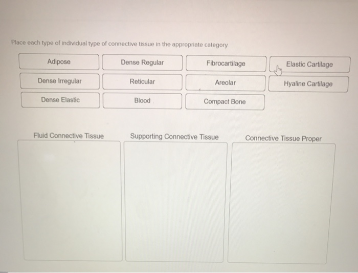 Solved Place each type of individual type of connective | Chegg.com