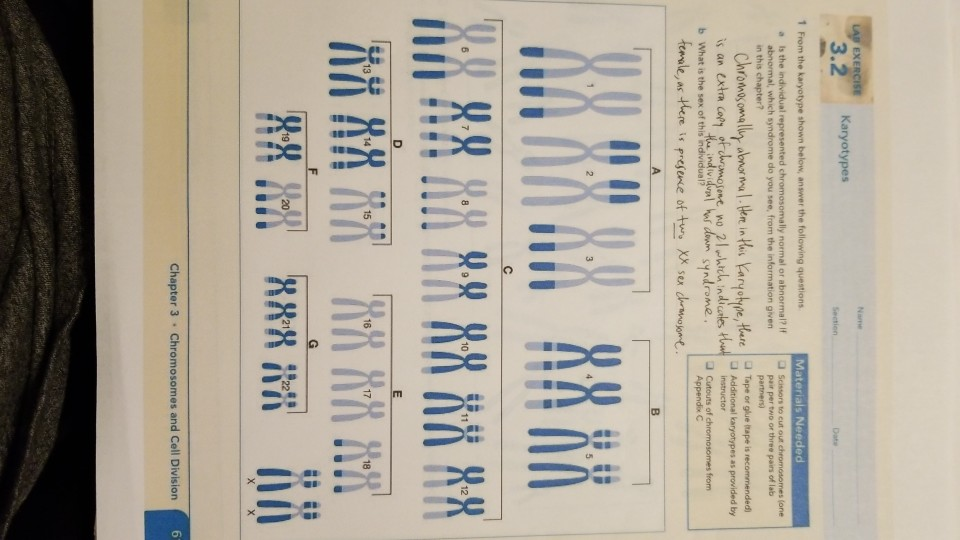 Solved LAB EXERCISE 3.2 continued Name 5 Use the karyotype | Chegg.com