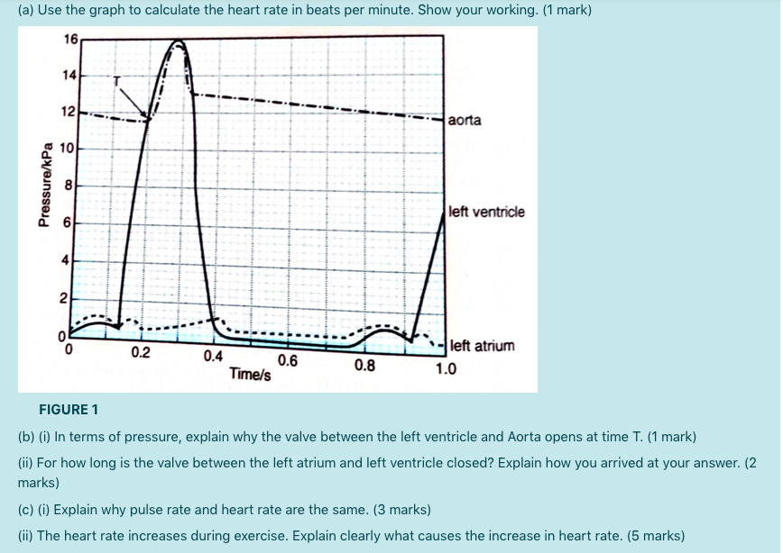 Solved a Use The Graph To Calculate The Heart Rate In Chegg