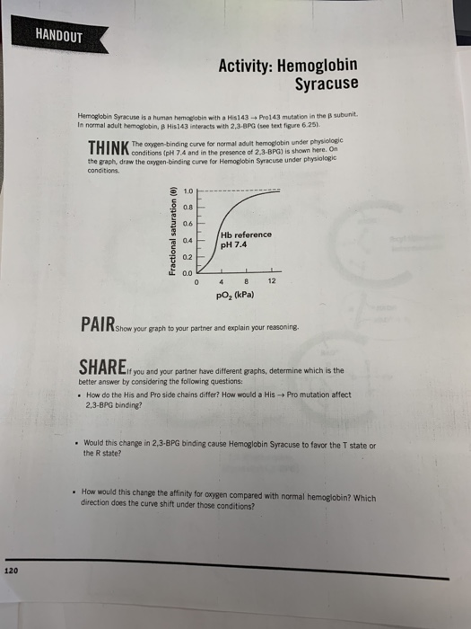 Solved HANDOUT Activity: Hemoglobin Syracuse Hemoglobin | Chegg.com
