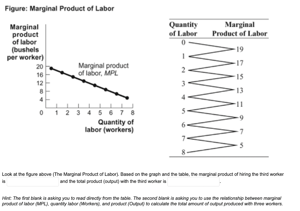 Solved Look at the figure above (The Marginal Product of | Chegg.com