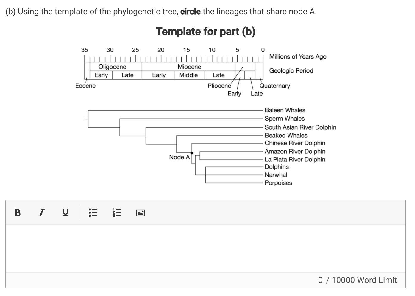 Solved River dolphins are morphologically distinct from | Chegg.com
