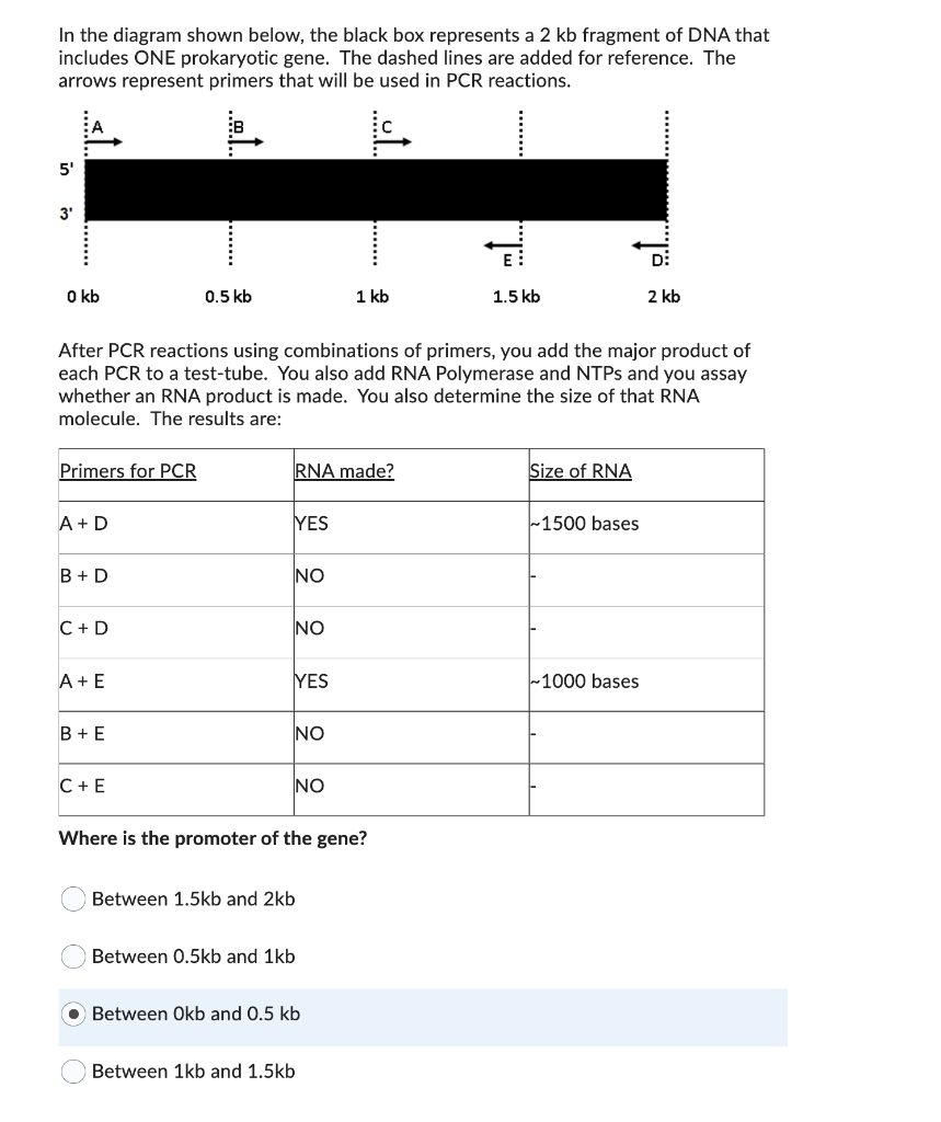 Solved In the diagram shown below, the black box represents | Chegg.com