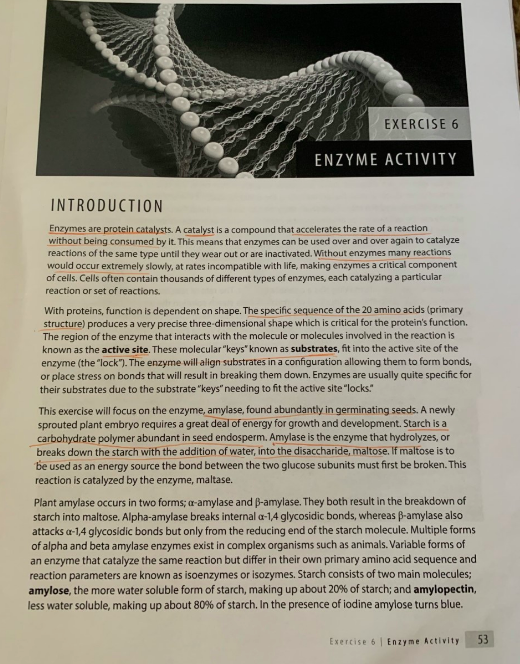 Solved EXERCISE 6 ENZYME ACTIVITY INTRODUCTION Enzymes are | Chegg.com