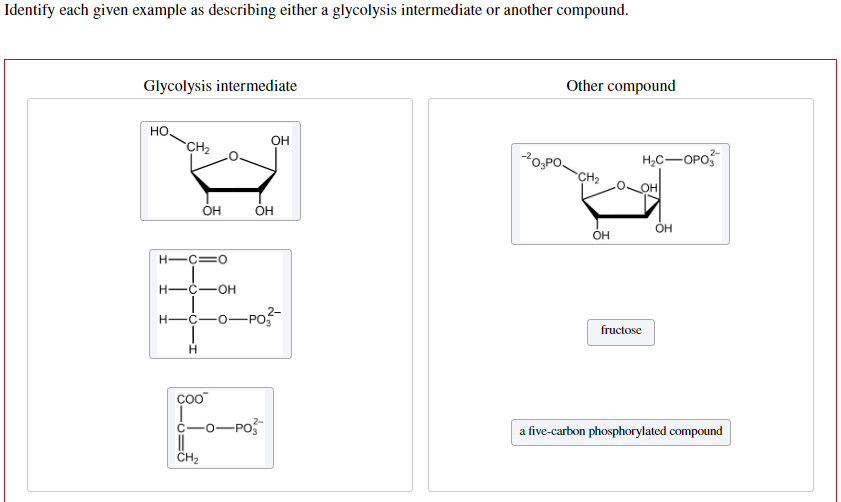 Solved Identify each given example as describing either a | Chegg.com