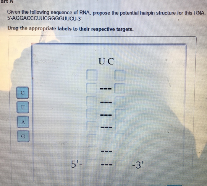 Solved Given the following sequence of RNA, propose the | Chegg.com