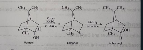 Solved Borneol Camphor Isoborneol | Chegg.com