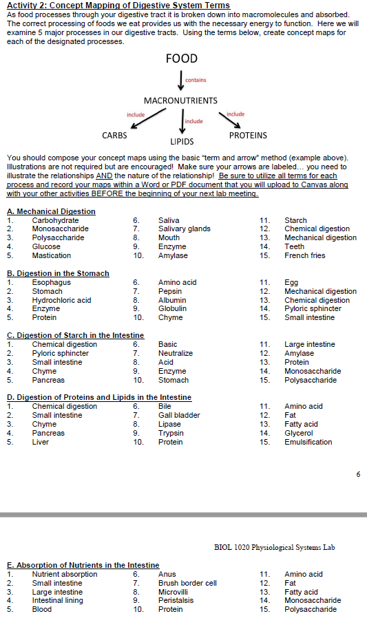 Solved Activity 2: Concept Mapping of Digestive System Terms | Chegg.com Solved Activity 2: Concept Mapping of Digestive System Terms | Chegg.com