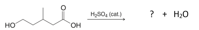 Solved H2SO4 (cat.) ? + H2O НО ОН | Chegg.com
