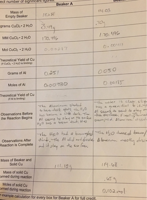 How would you solve for the theoretical yield of | Chegg.com
