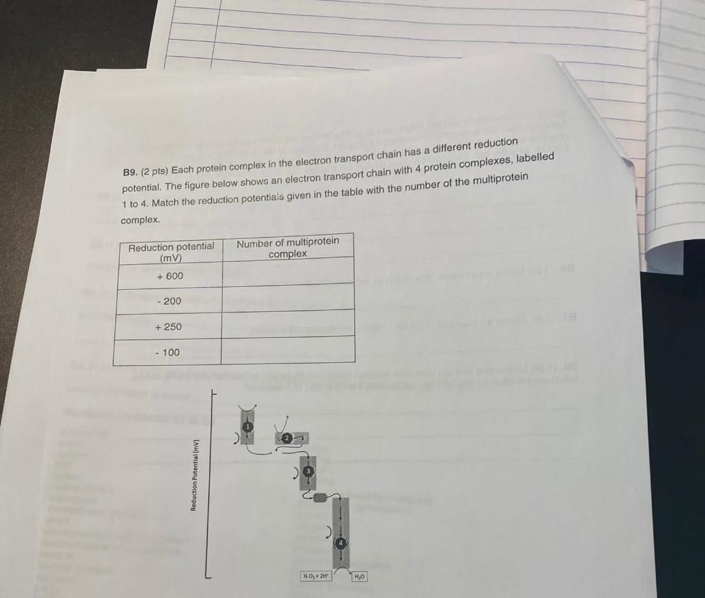 Solved B9. (2 pts) Each protein complex in the electron | Chegg.com