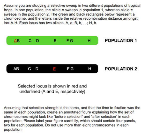 Solved Assume you are studying a selective sweep in two | Chegg.com