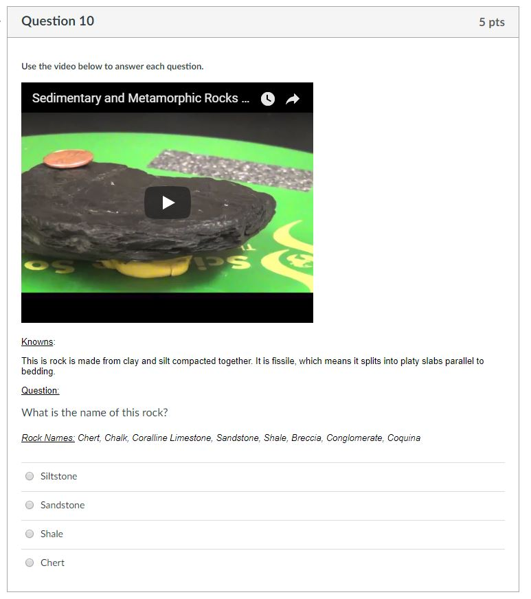 Solved Question 9 5 pts Use the video below to answer each | Chegg.com