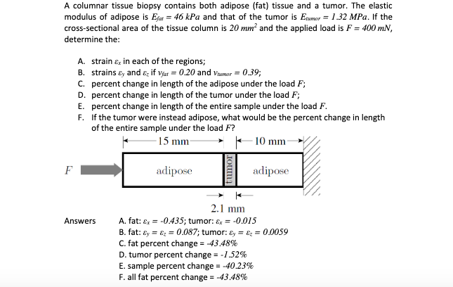 Solved A columnar tissue biopsy contains both adiposse (fat) | Chegg.com