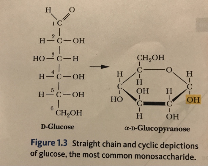 Solved List all of the functional groups present in figure | Chegg.com