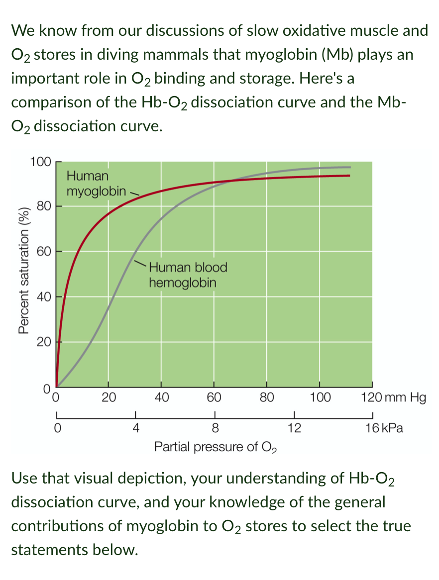 Solved We know from our discussions of slow oxidative muscle | Chegg.com
