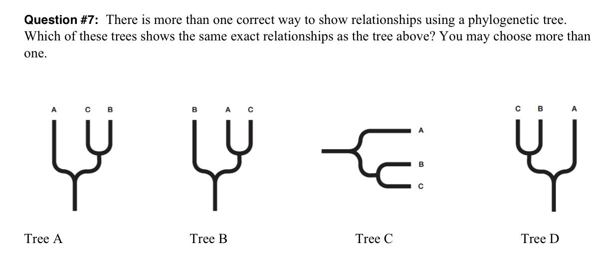 Solved A B C – branch tips trait 4 - trait 5 trait 2 -trait | Chegg.com