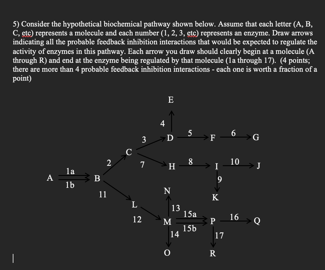 Solved Consider the hypothetical biochemical pathway shown | Chegg.com